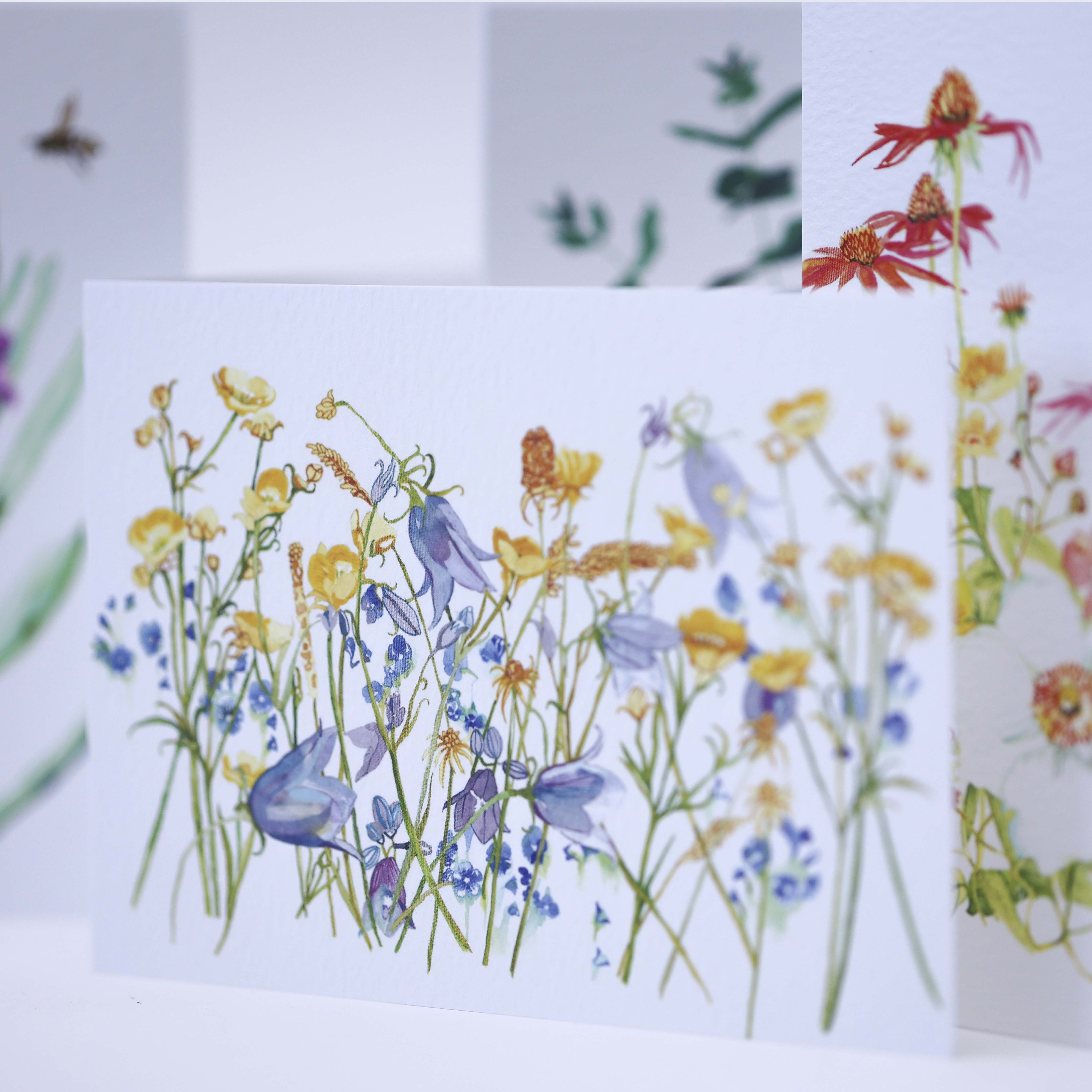 Greeting Cards – Flax Fox