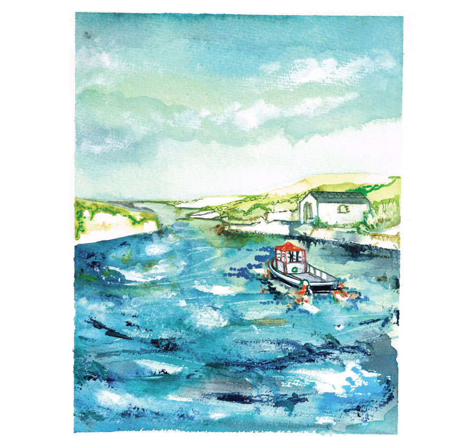 Ballintoy Harbour – Flax Fox