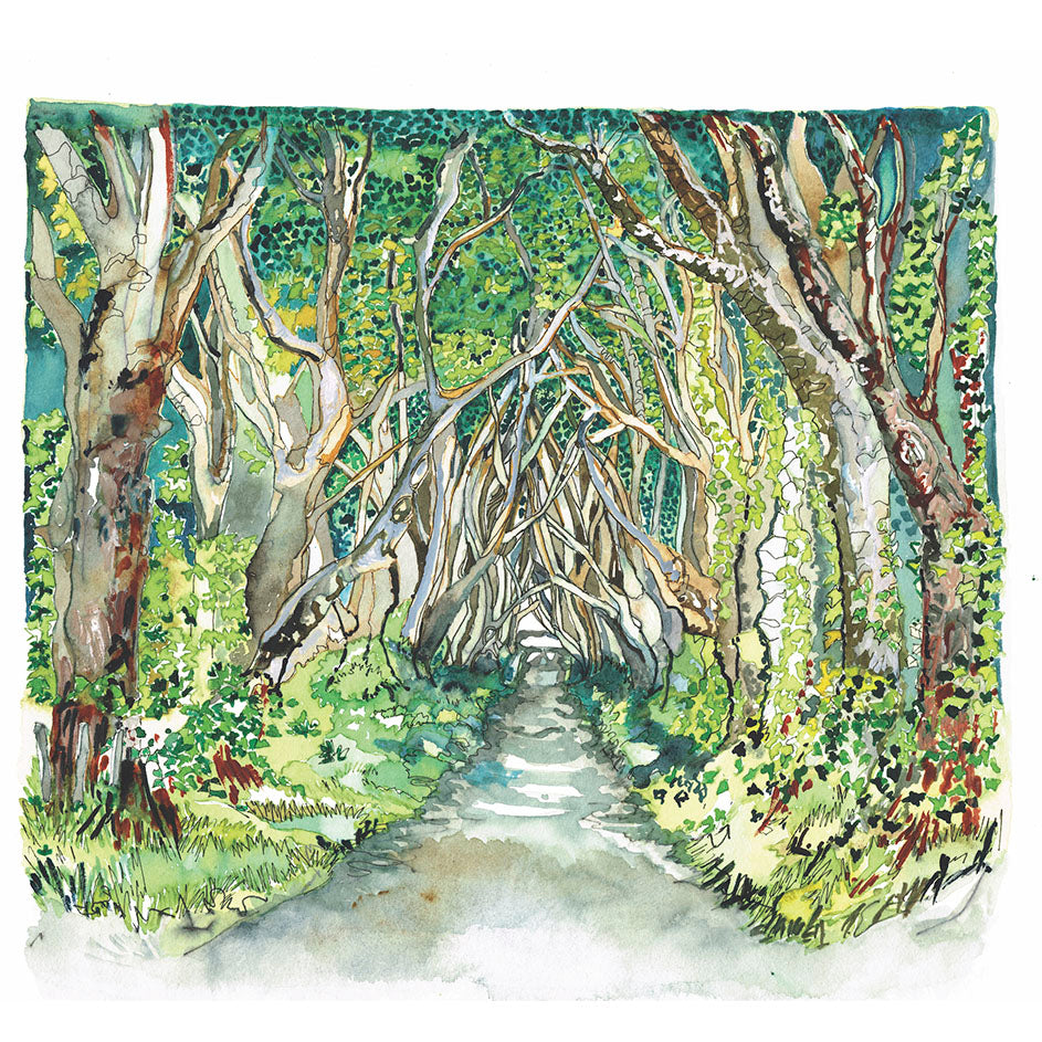 Dark Hedges – Flax Fox